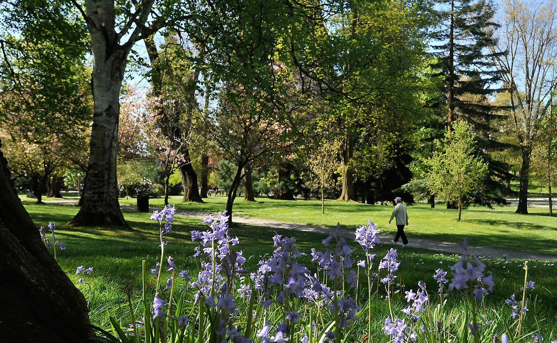 Home - Parks Tacoma