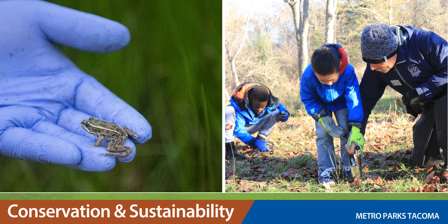 2021 Conservation & Sustainability - Parks Tacoma