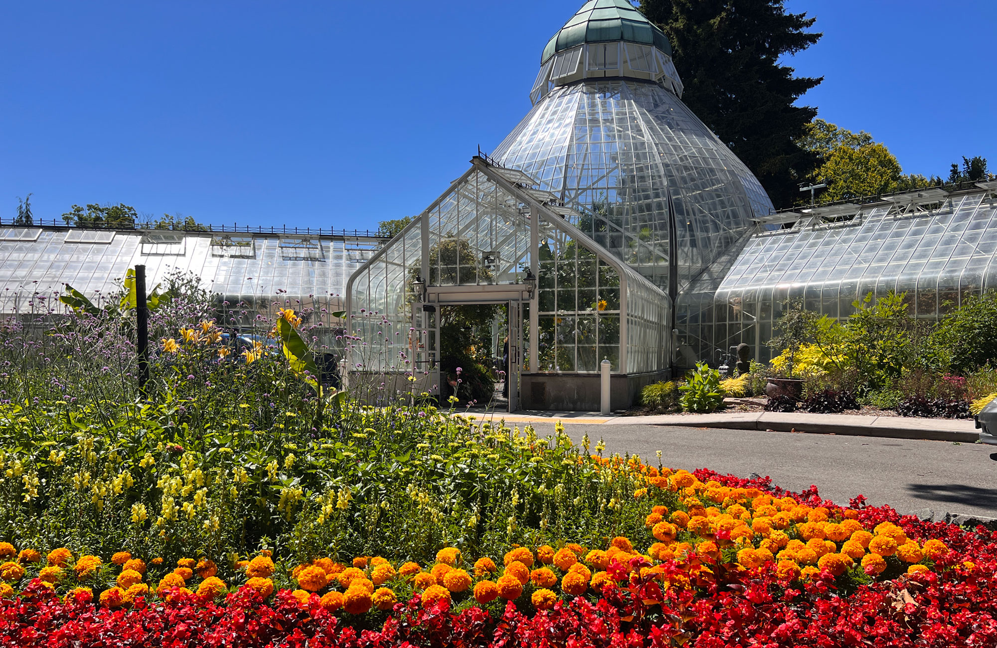 Autumn Flower Show: Peace Among the Trees - Parks Tacoma